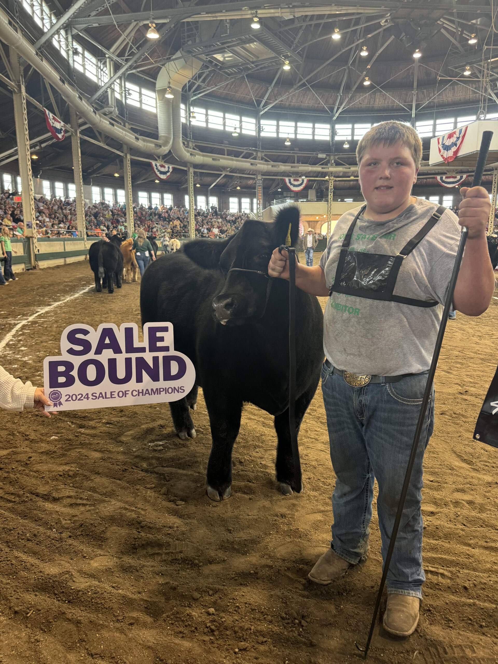Klaire Shanks: Grand Champion - 4-H Market Steer - Iowa Foundation for ...