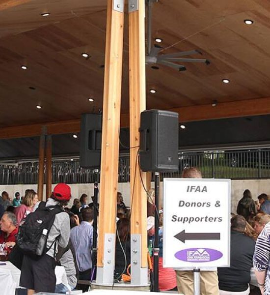 Agriculture Scholarships & Sale of Champs | IFAA